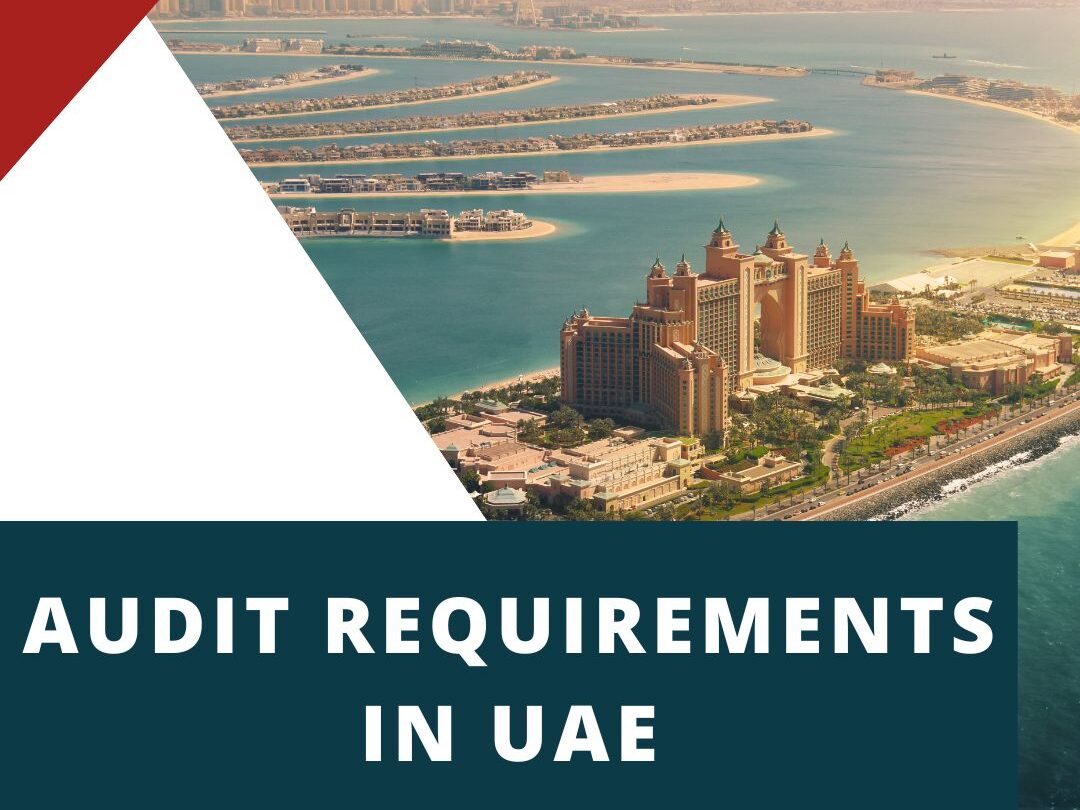 Audit Requirements in UAE: What You Need to Know - INPM Consultancies